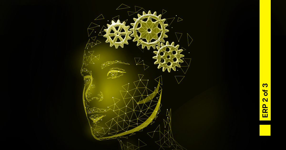 The Hybrid ERP Approach | BeWave The Hybrid ERP Approach | BeWave